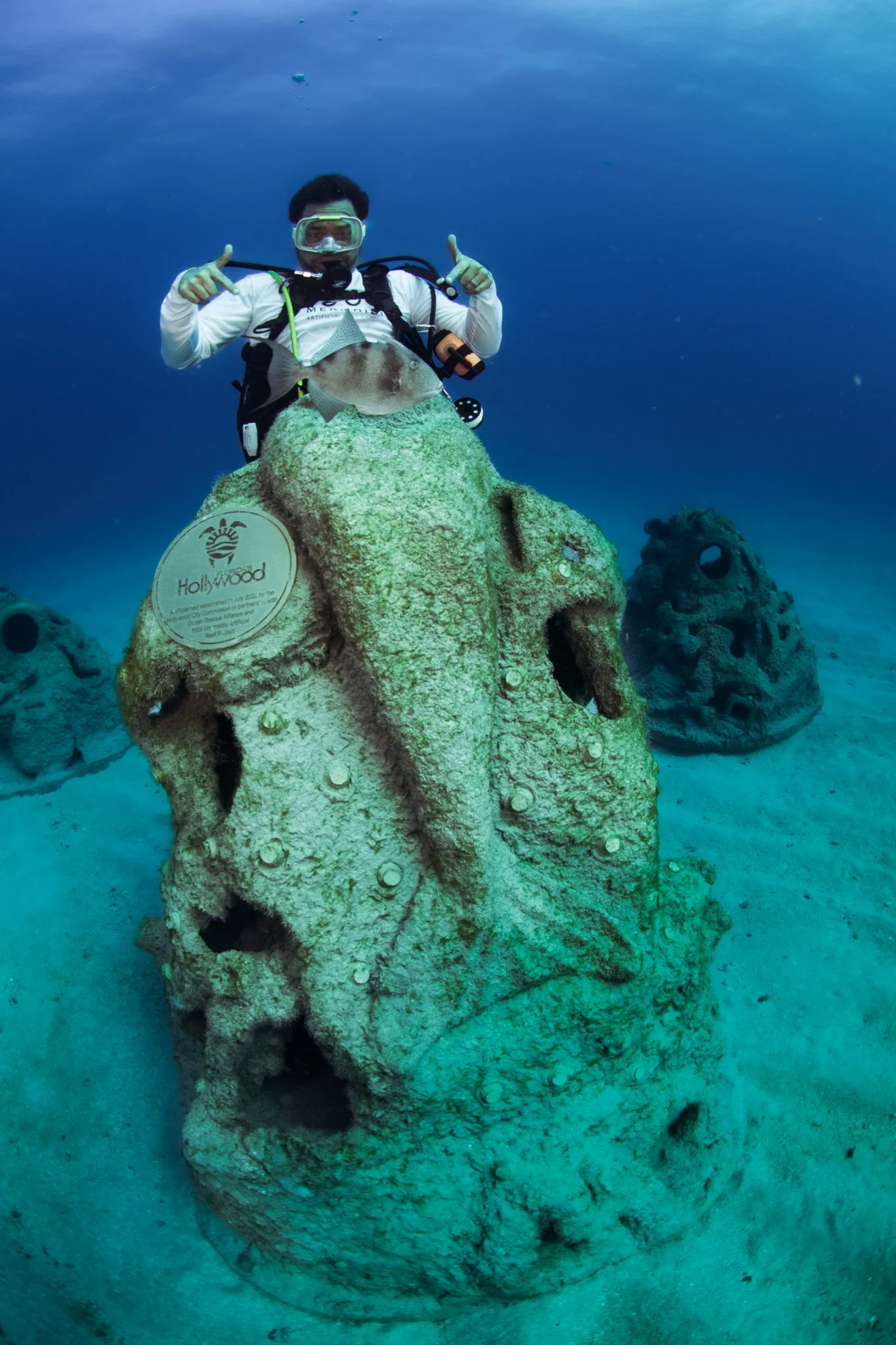 1000 Mermaids Artificial Reef Project