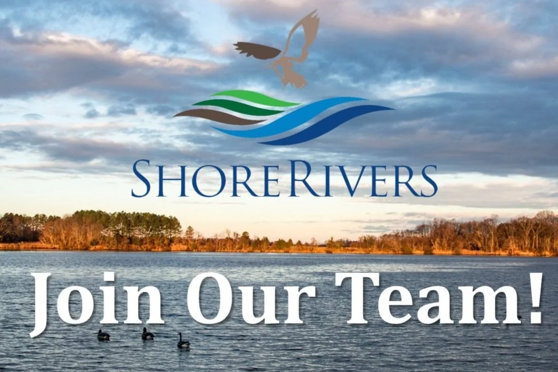 ShoreRivers