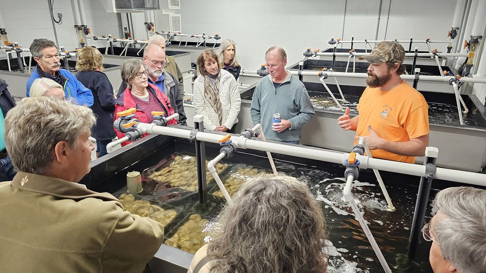 FULL: Ferry Cove Oyster Hatchery Tour — ShoreRivers