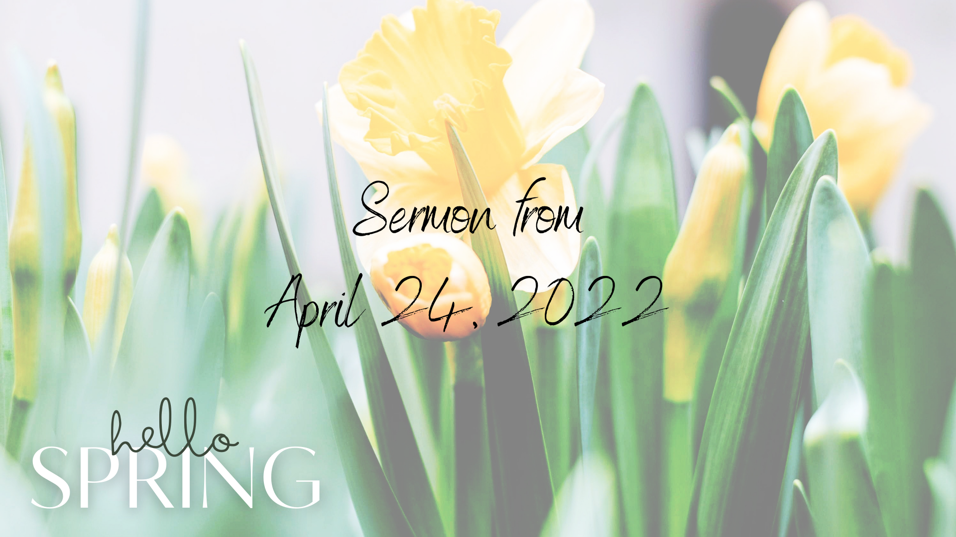 Spring Break — HRAC