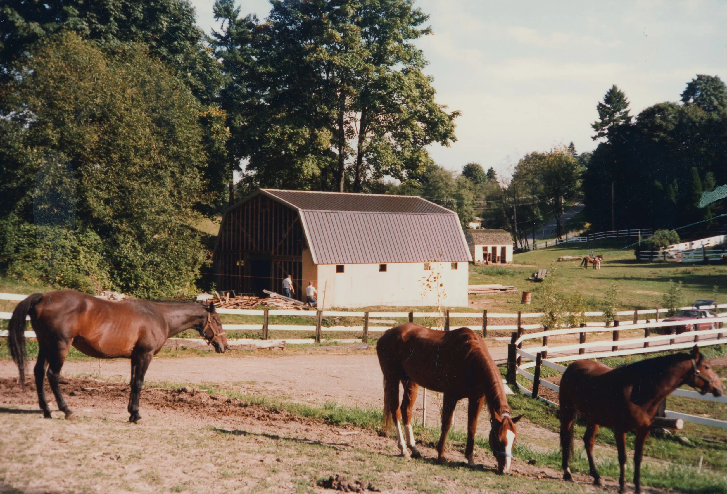 Gallery — Seattle Farm