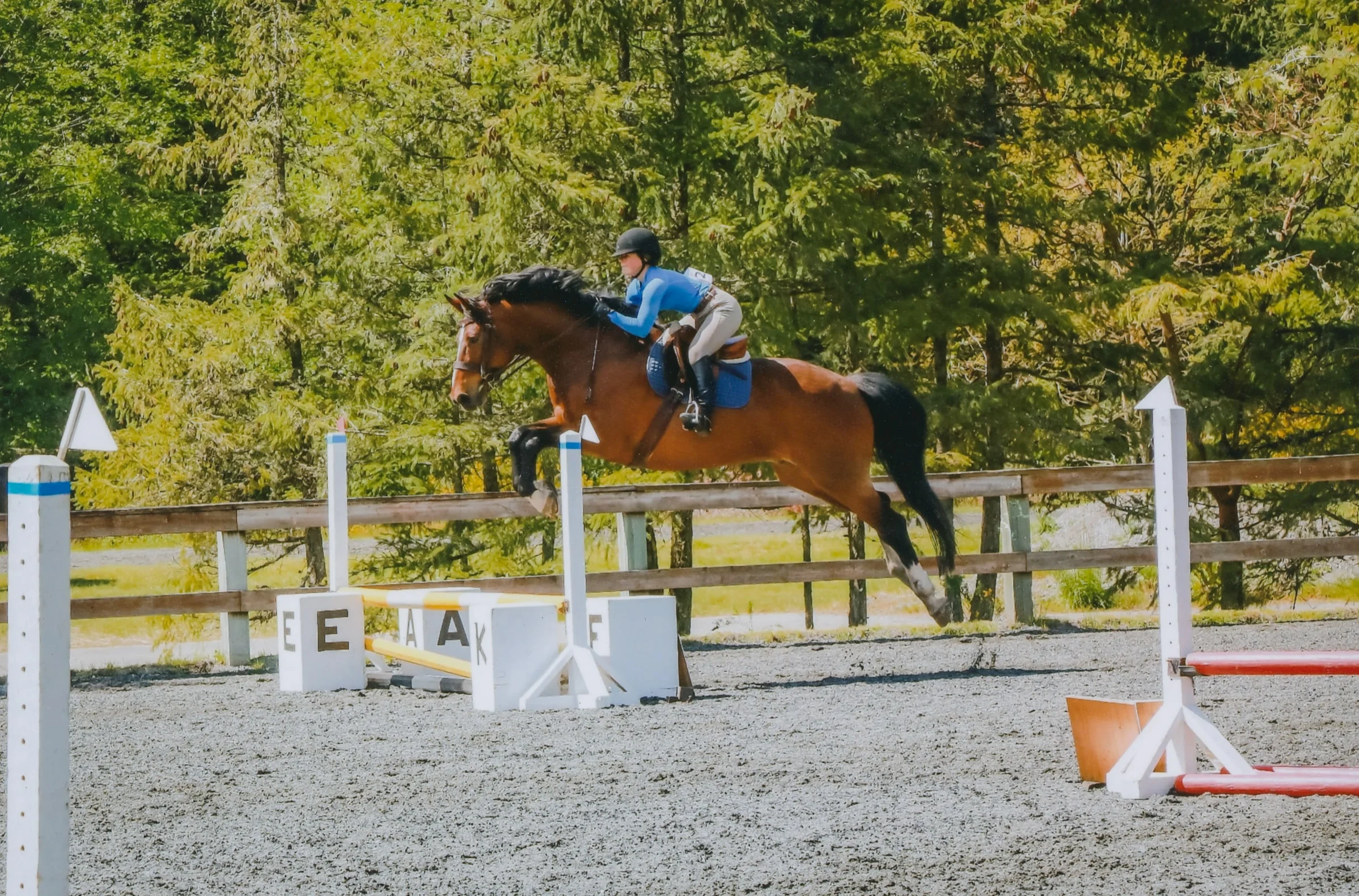 Gallery — Seattle Farm