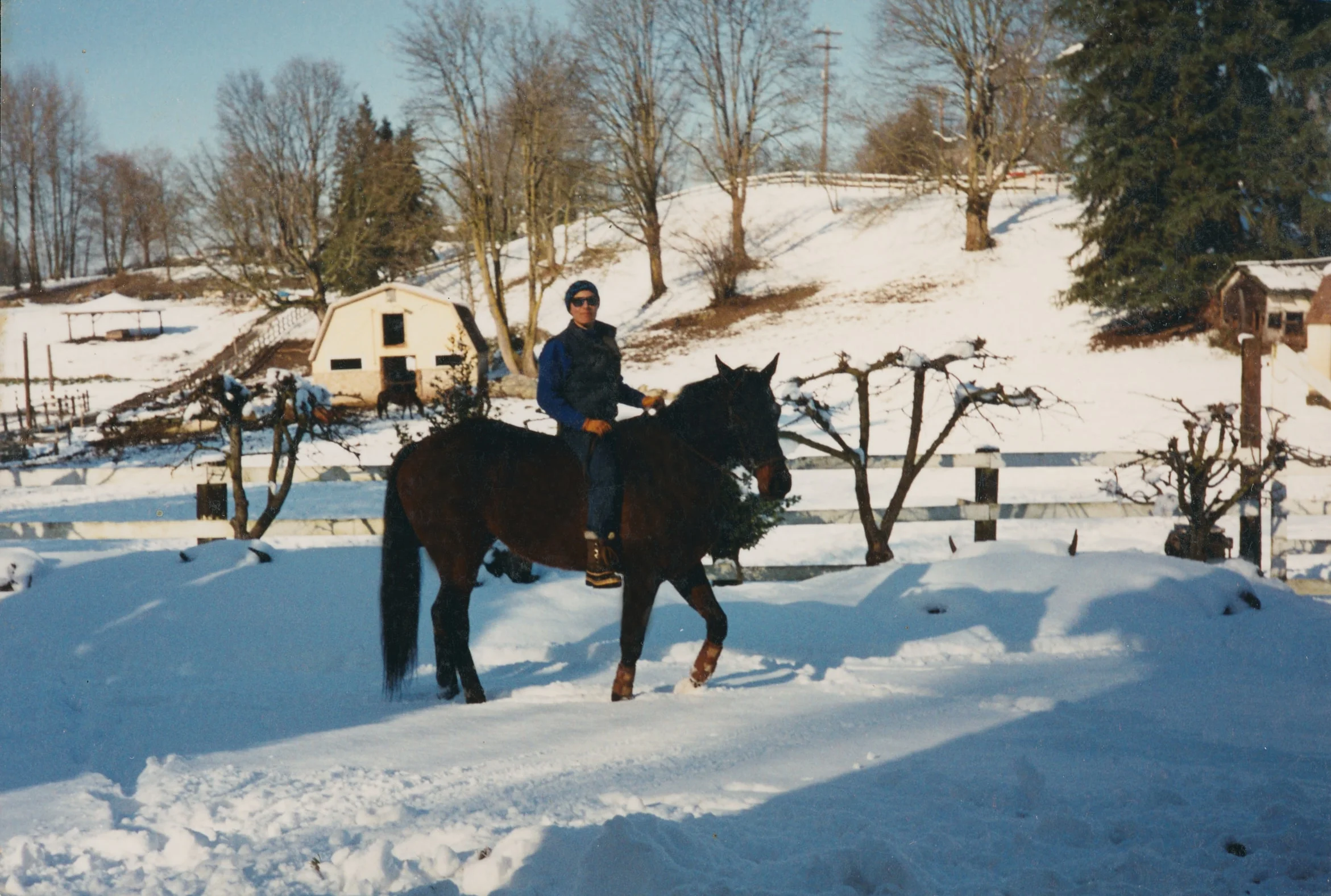 Gallery — Seattle Farm