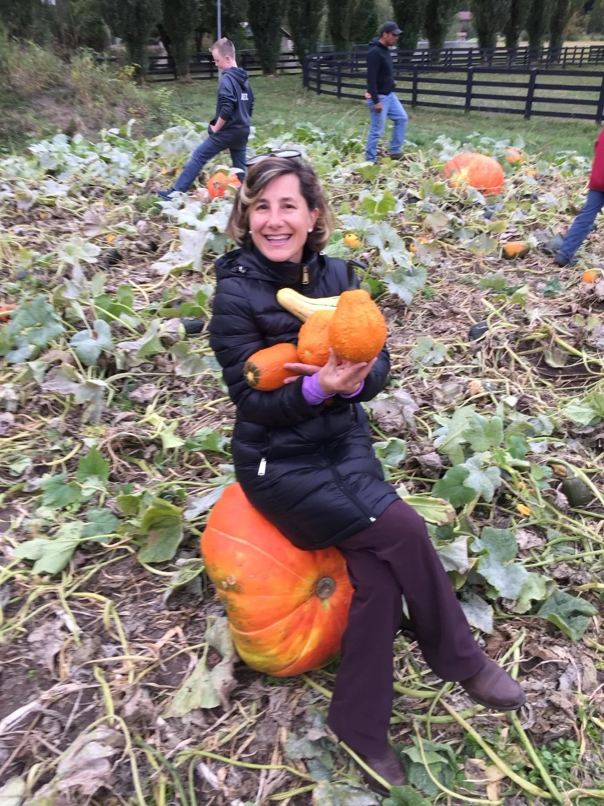 Pumpkins and Ponies — Seattle Farm