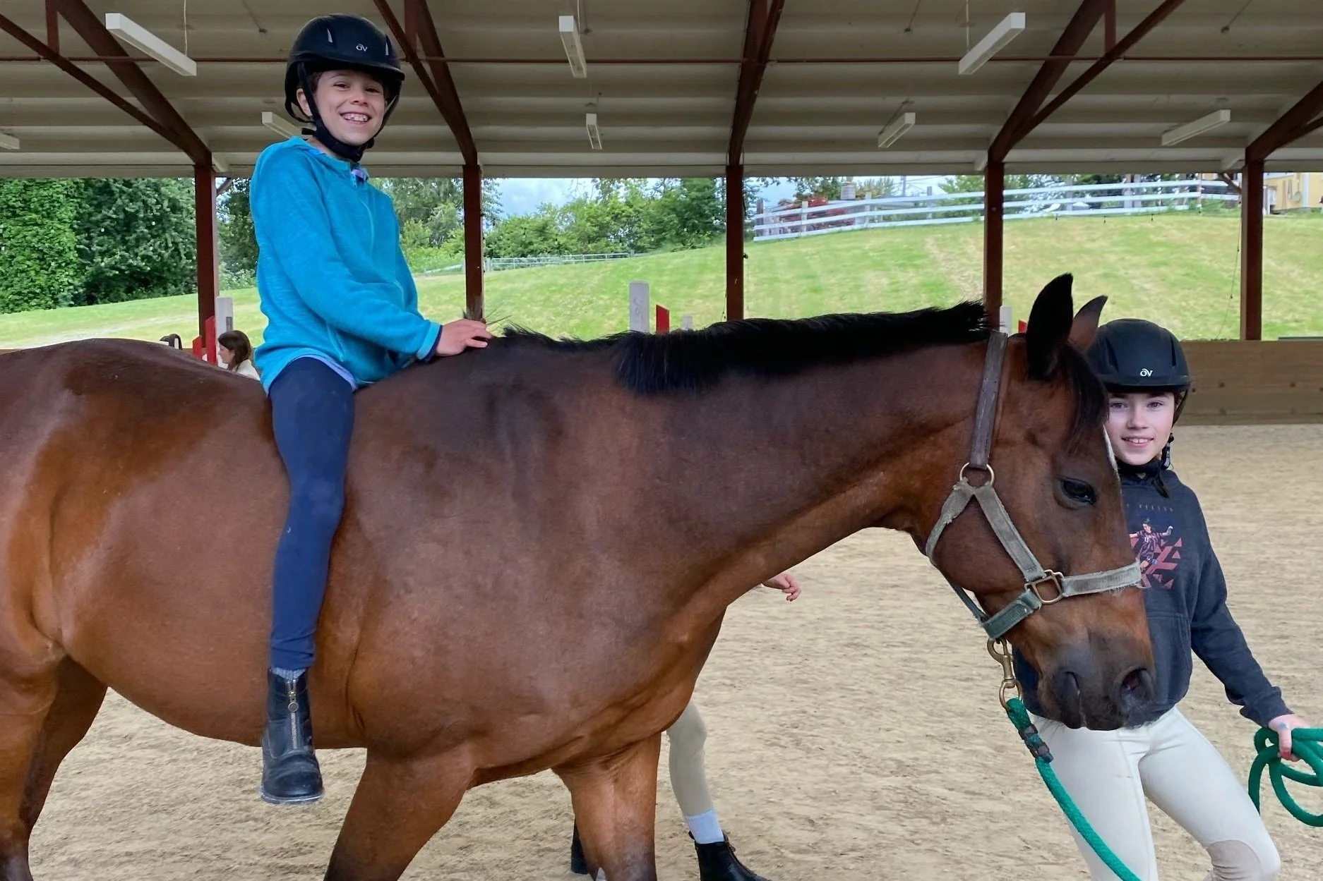Overview — Seattle Farm