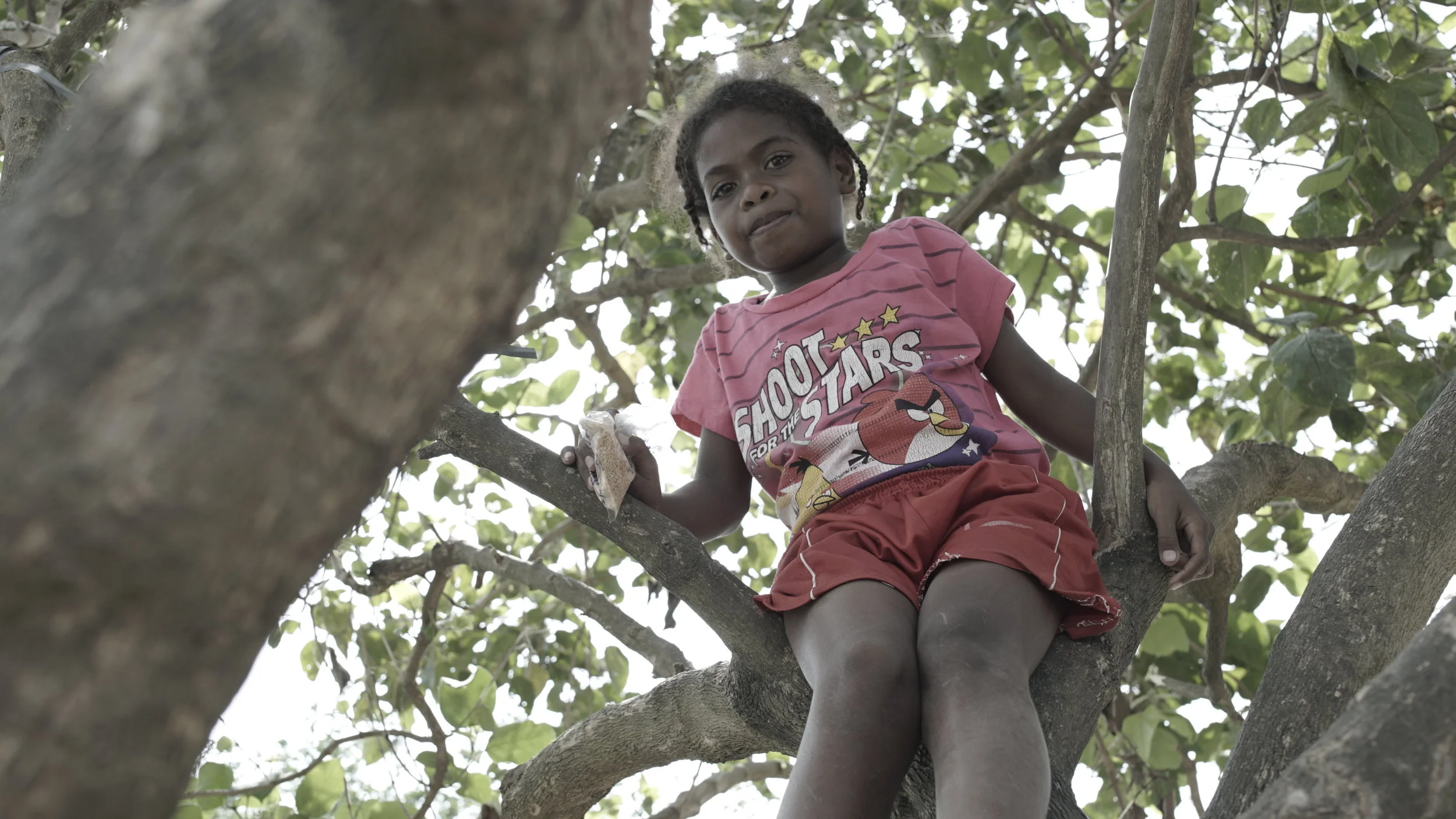 Kuwentista — Mark See