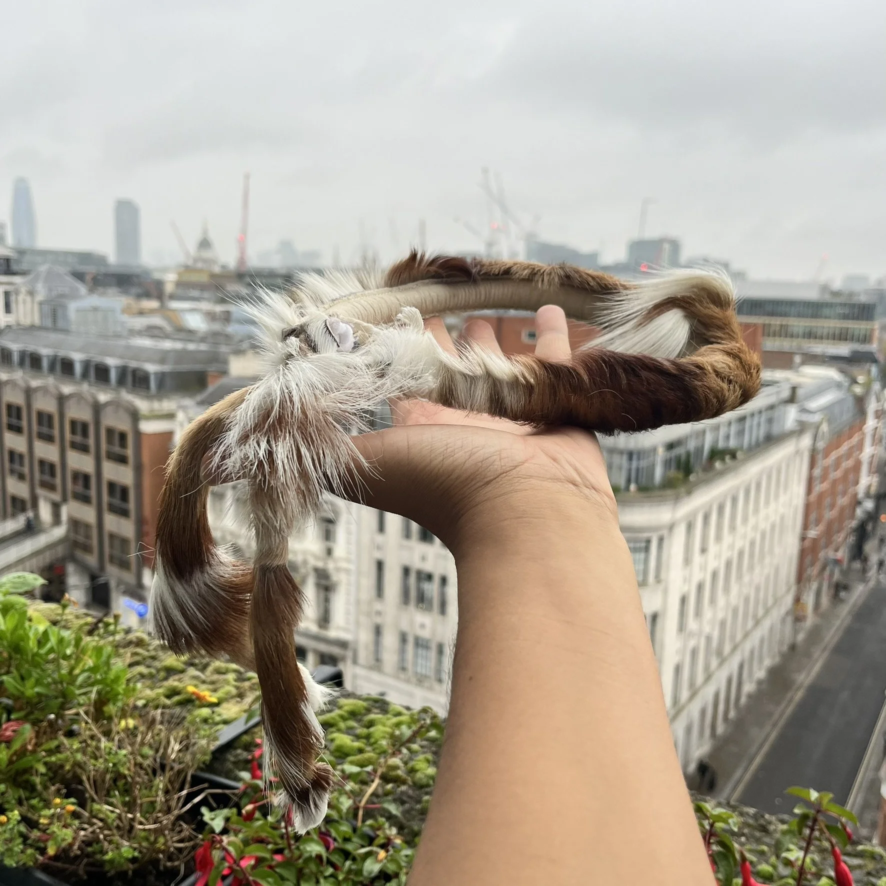 Zulu Traditional Headband with Tail - Umqhele — Taste Of Southern Africa