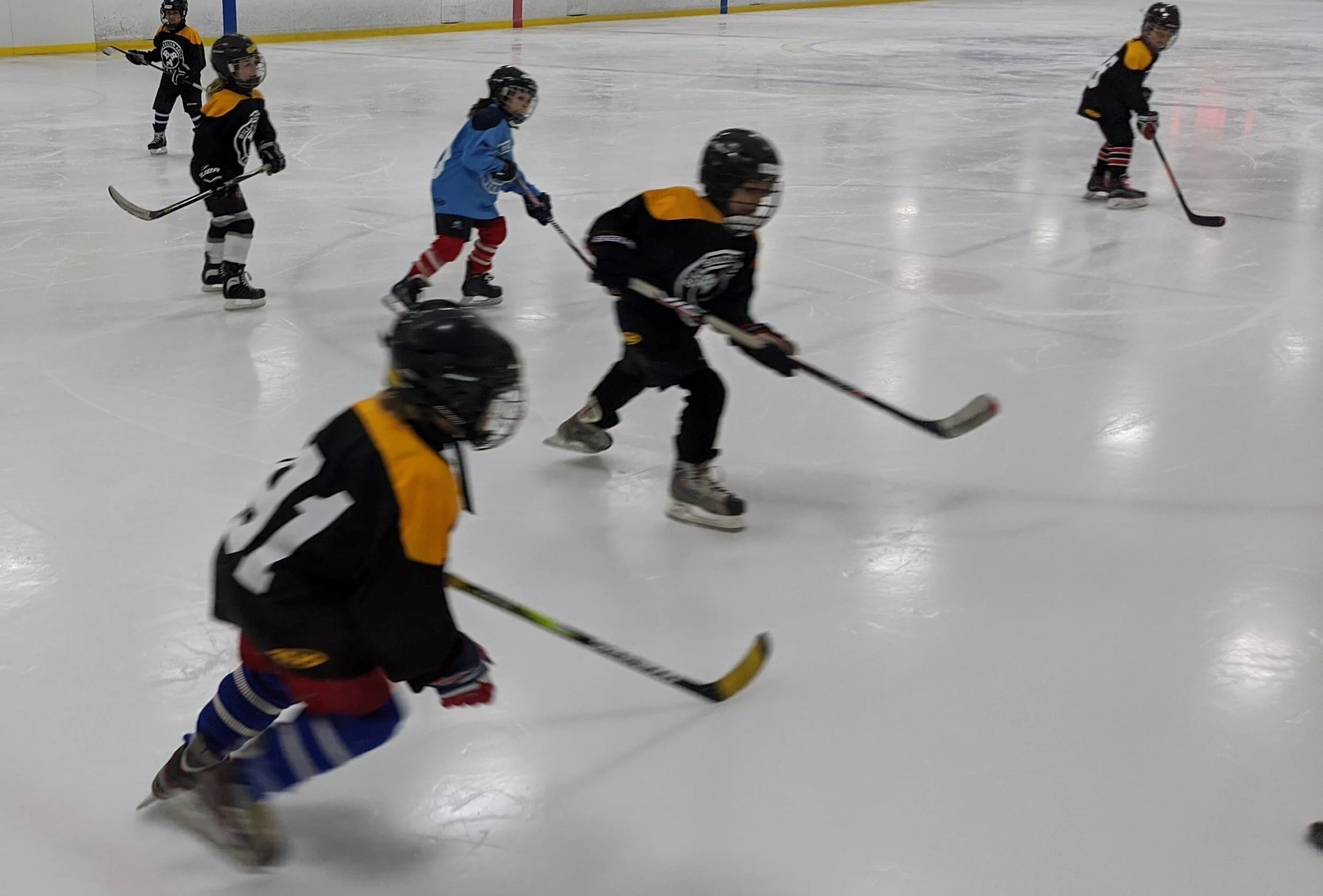 Youth House League Hockey — Bill Bolton Arena