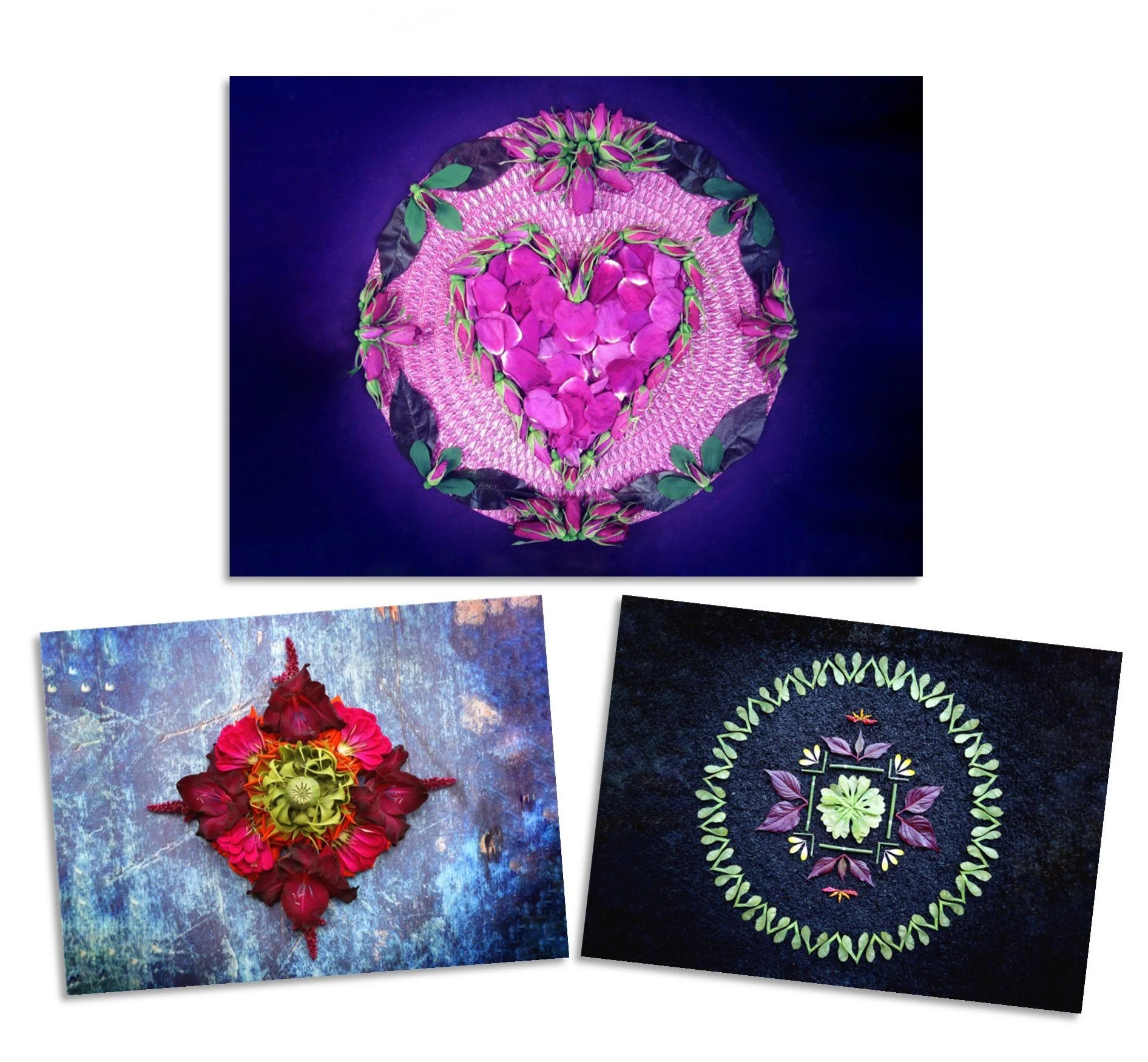 Mandala Art Postcards - Nature Mandala Art