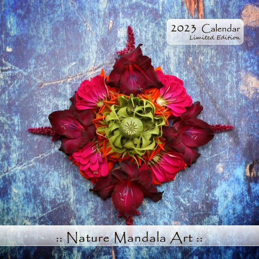 Clearance | Handmade Natural Mandala - Nature Mandala Art
