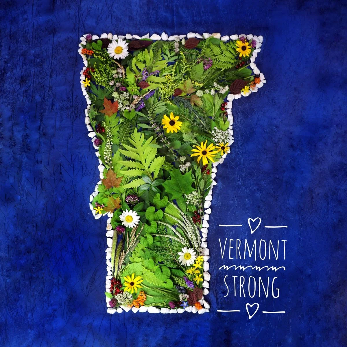 Vermont Strong | Art Fundraiser - Nature Mandala Art