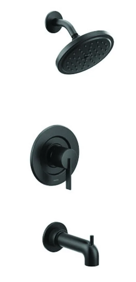 P5 (1) - Secondary Baths - Cia Matte Black — Evergreene Homes