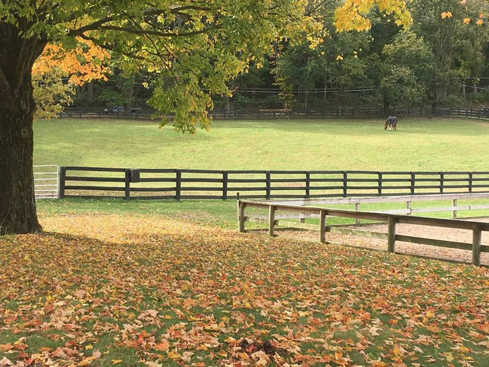 equestrian — MILLSTONE FARM