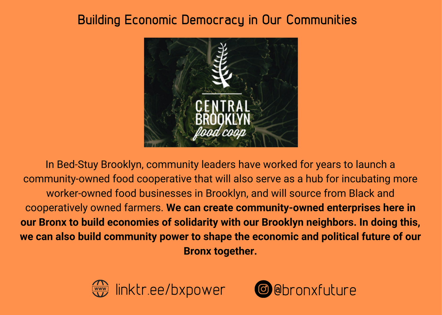 What is Economic Democracy? — The Bronx Cooperative Development Initiative