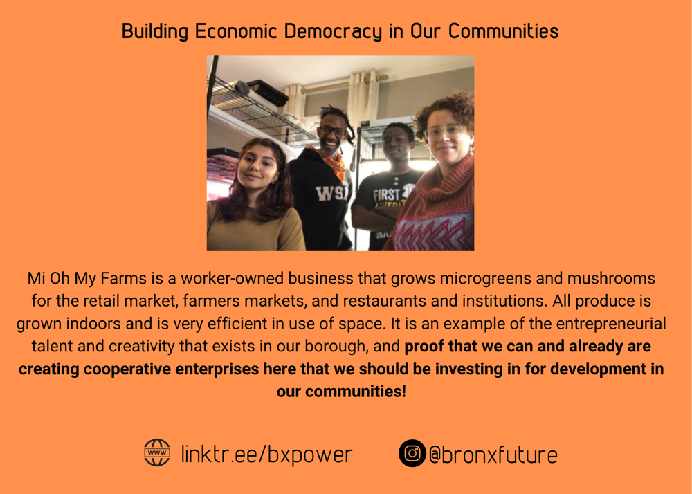 What is Economic Democracy? — The Bronx Cooperative Development Initiative