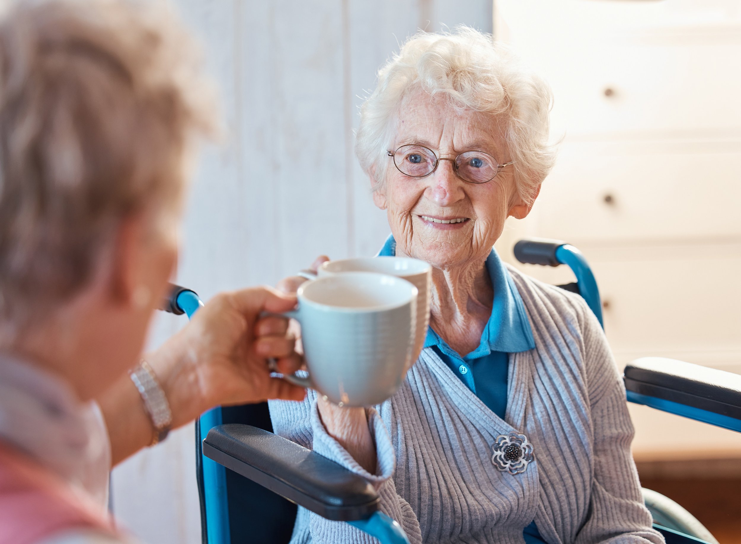 Announcing the new Friends on Wheels Program at MOWLB — Meals on Wheels ...