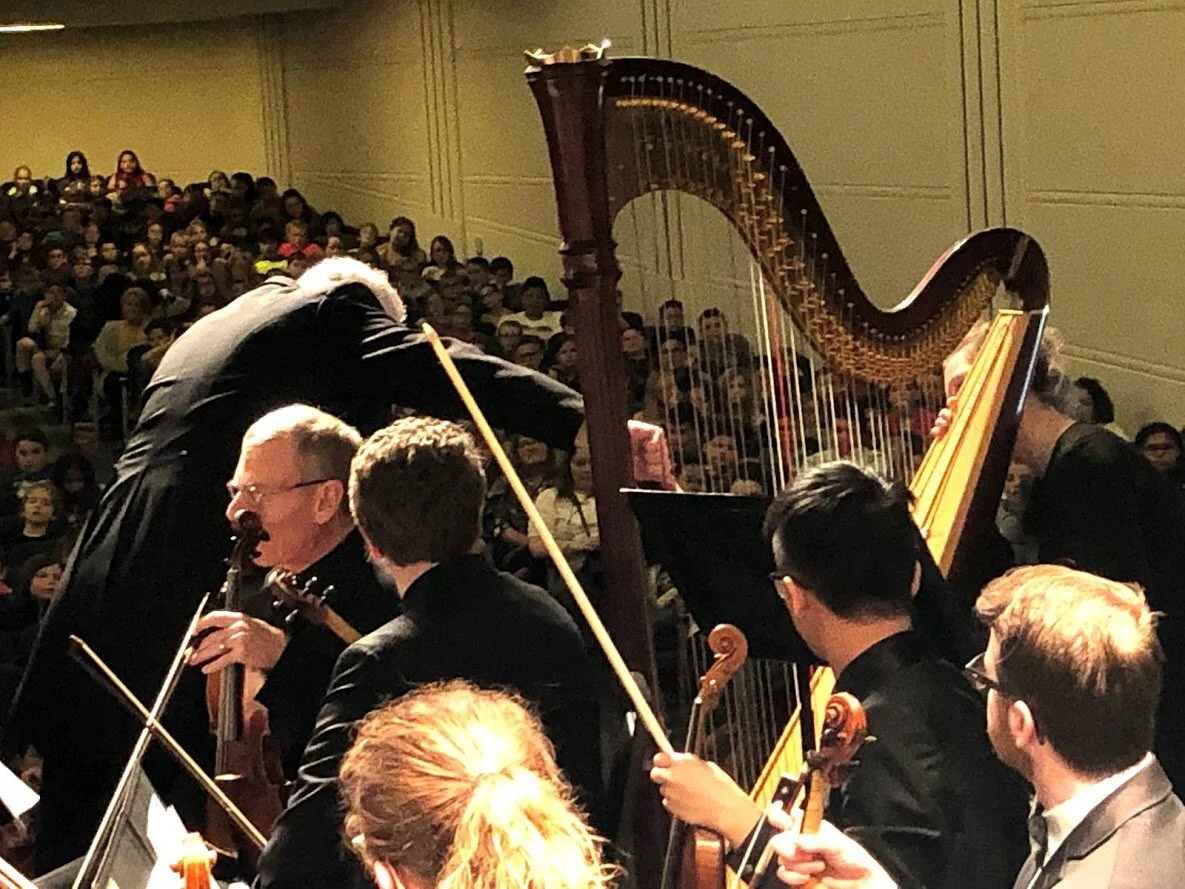 A Symphony For Kids And Teens Meet The Parts Of A Symphony