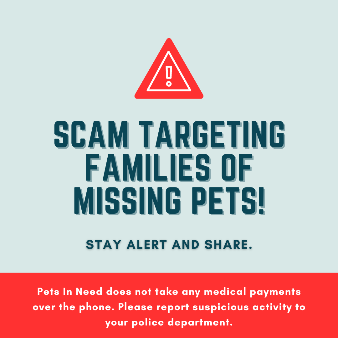 Blog — Pets In Need