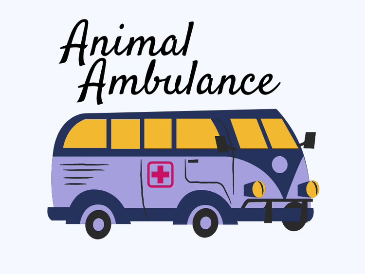 Volunteer Opportunities — Pets In Need