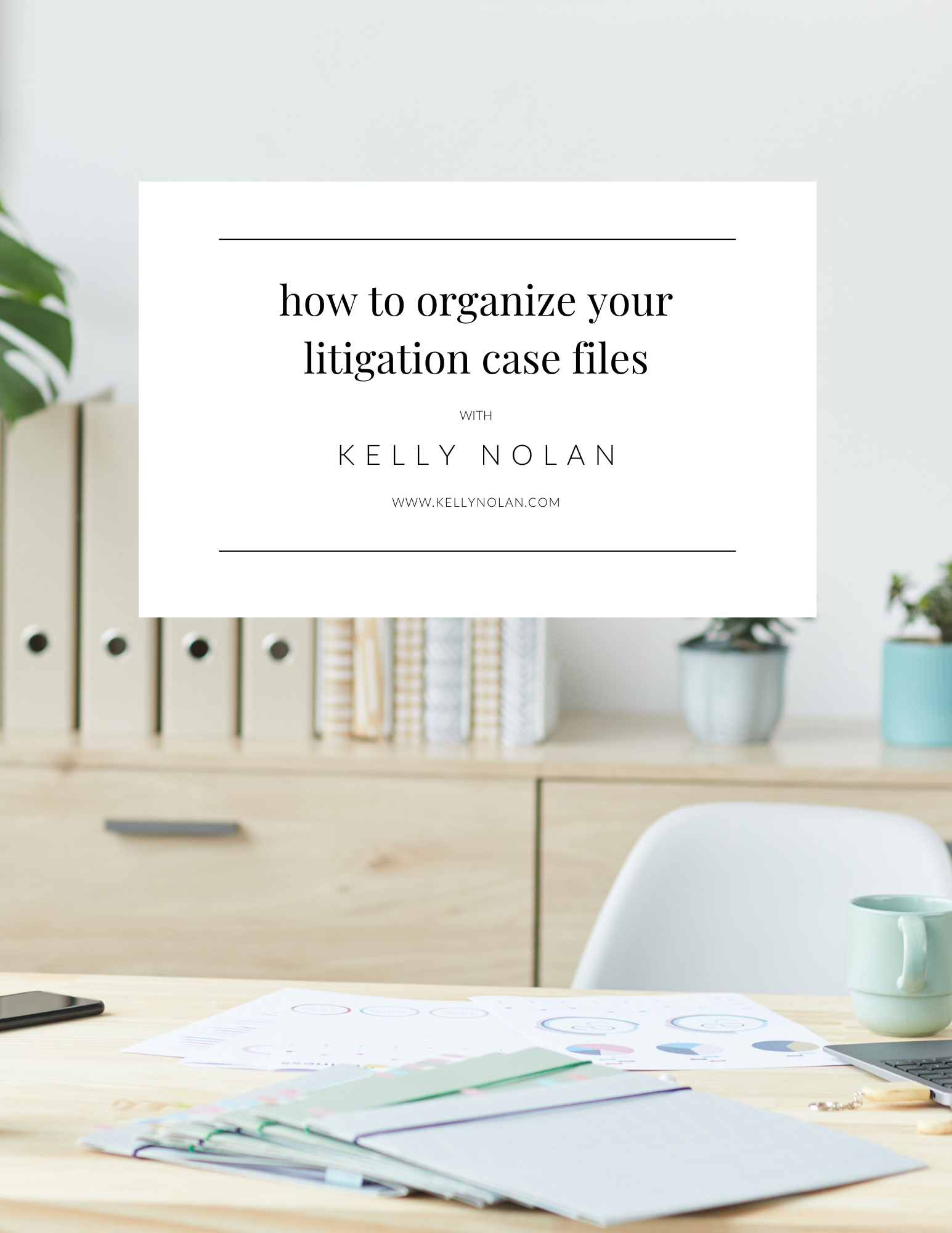 How to Organize Litigation Case Files — Kelly Nolan - Time Management ...