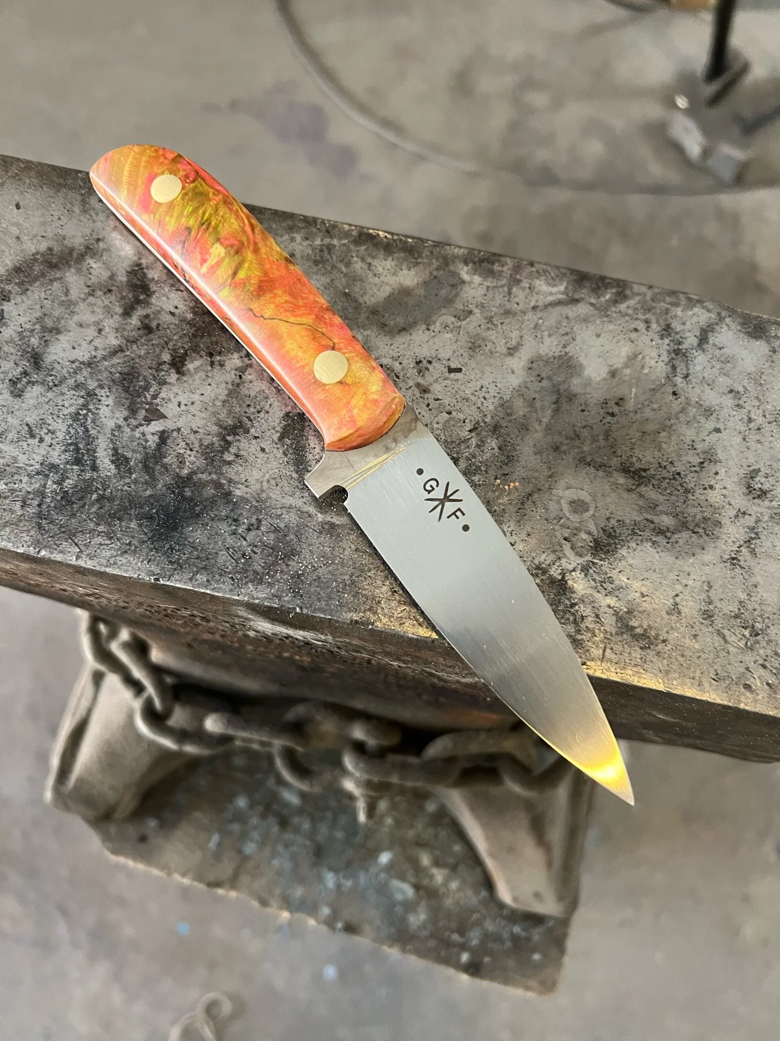 3.75" Alpine / double dyed burl / stainless — Feder knives