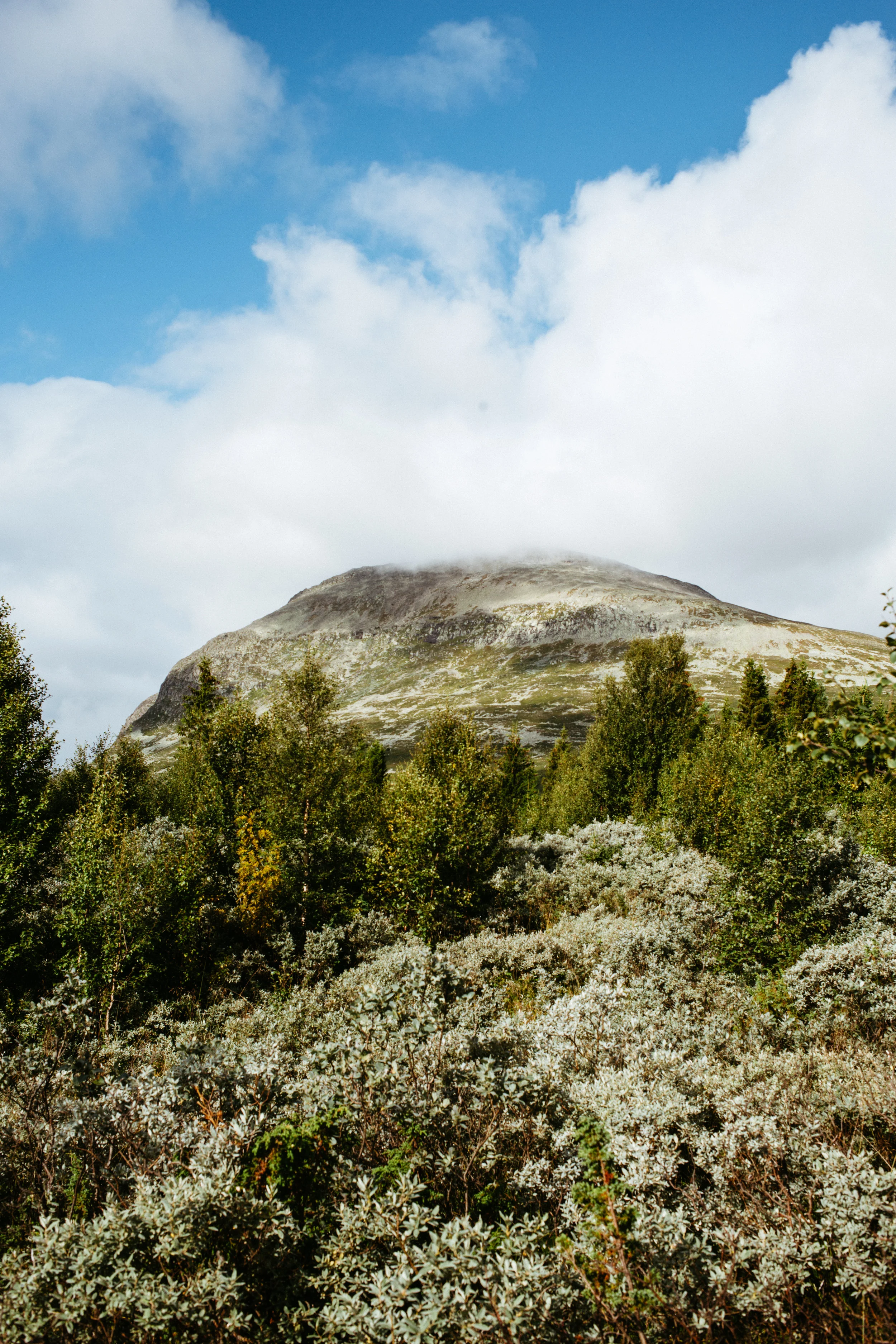 A Weekend in the Scandinavian Alps | Hemsedal, Norway — Athena Mellor