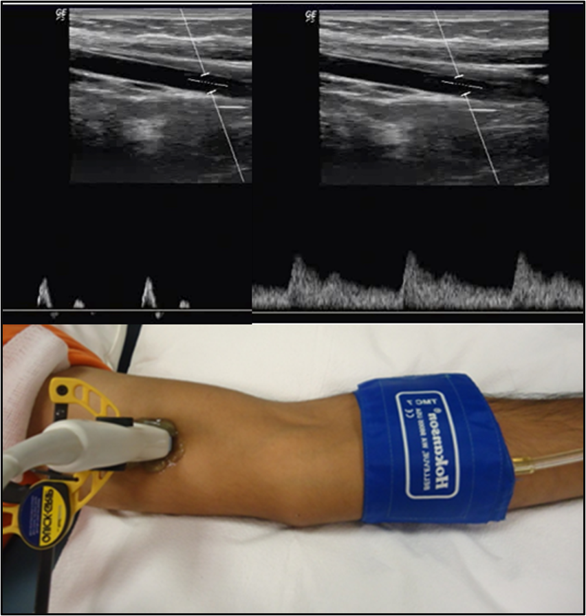 Research & Testing Services — Cardiovascular and Applied Physiology ...
