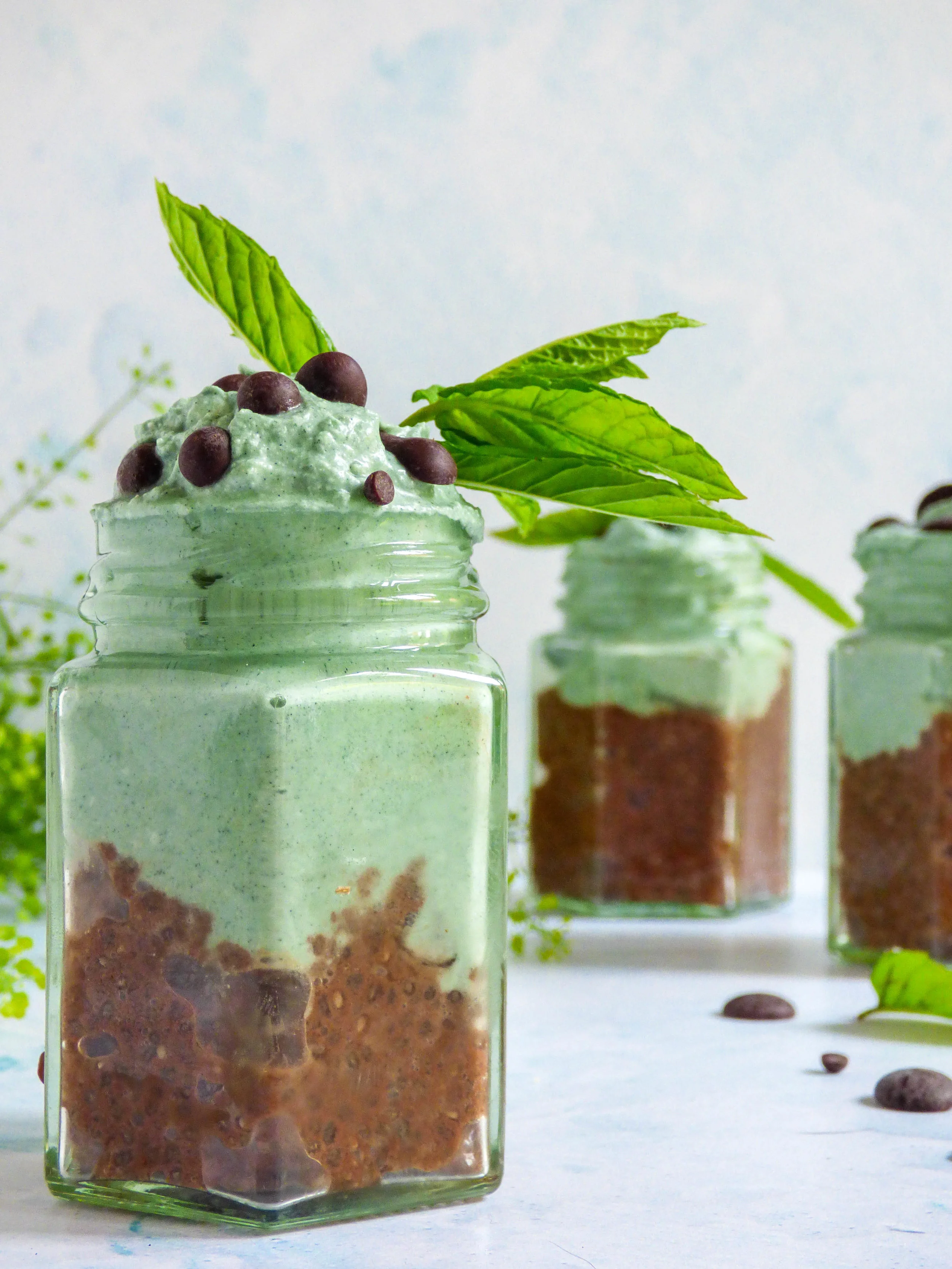 Mint choc chip chia pudding — Holly Tree Kitchen