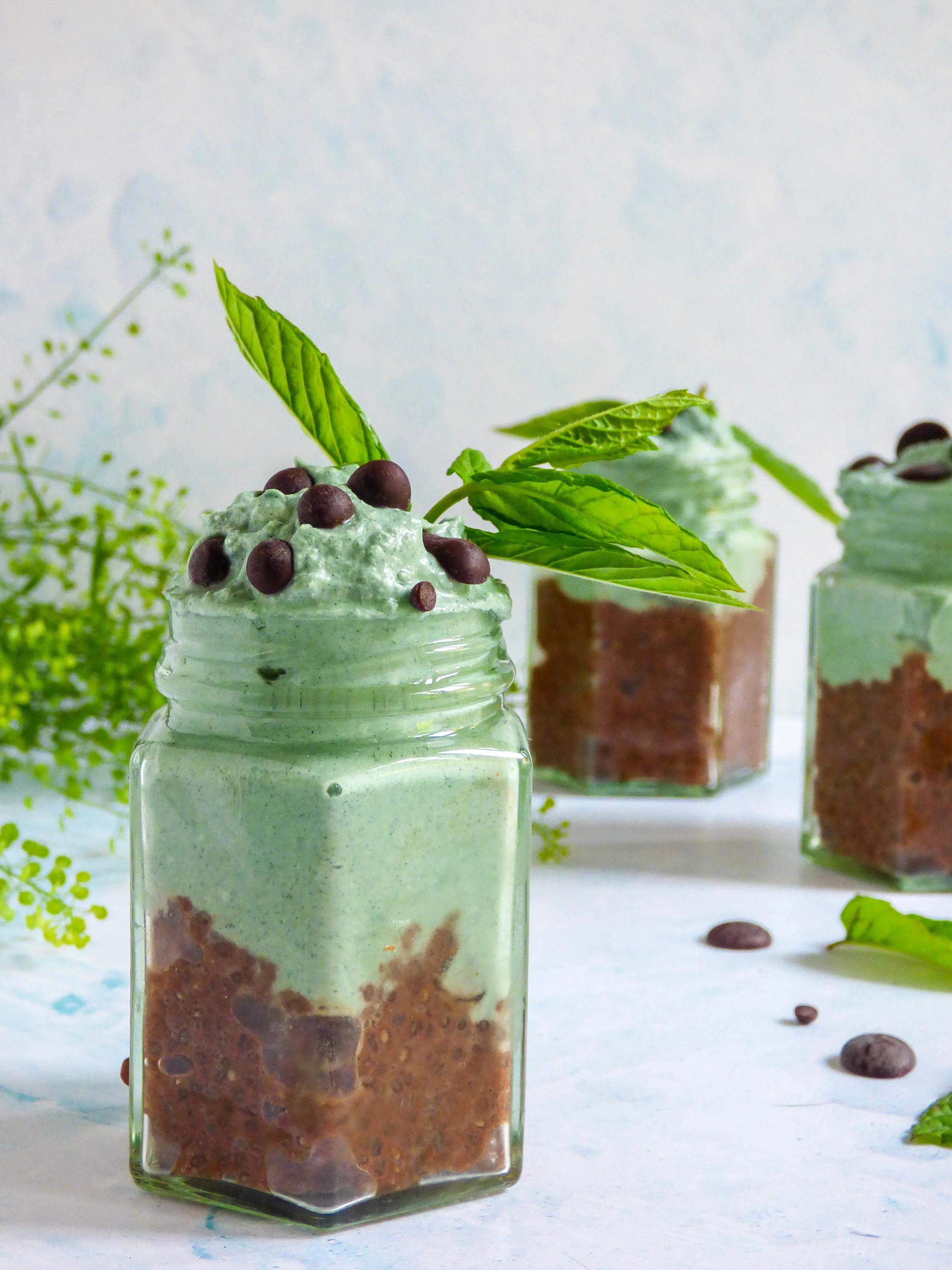 Mint choc chip chia pudding — Holly Tree Kitchen