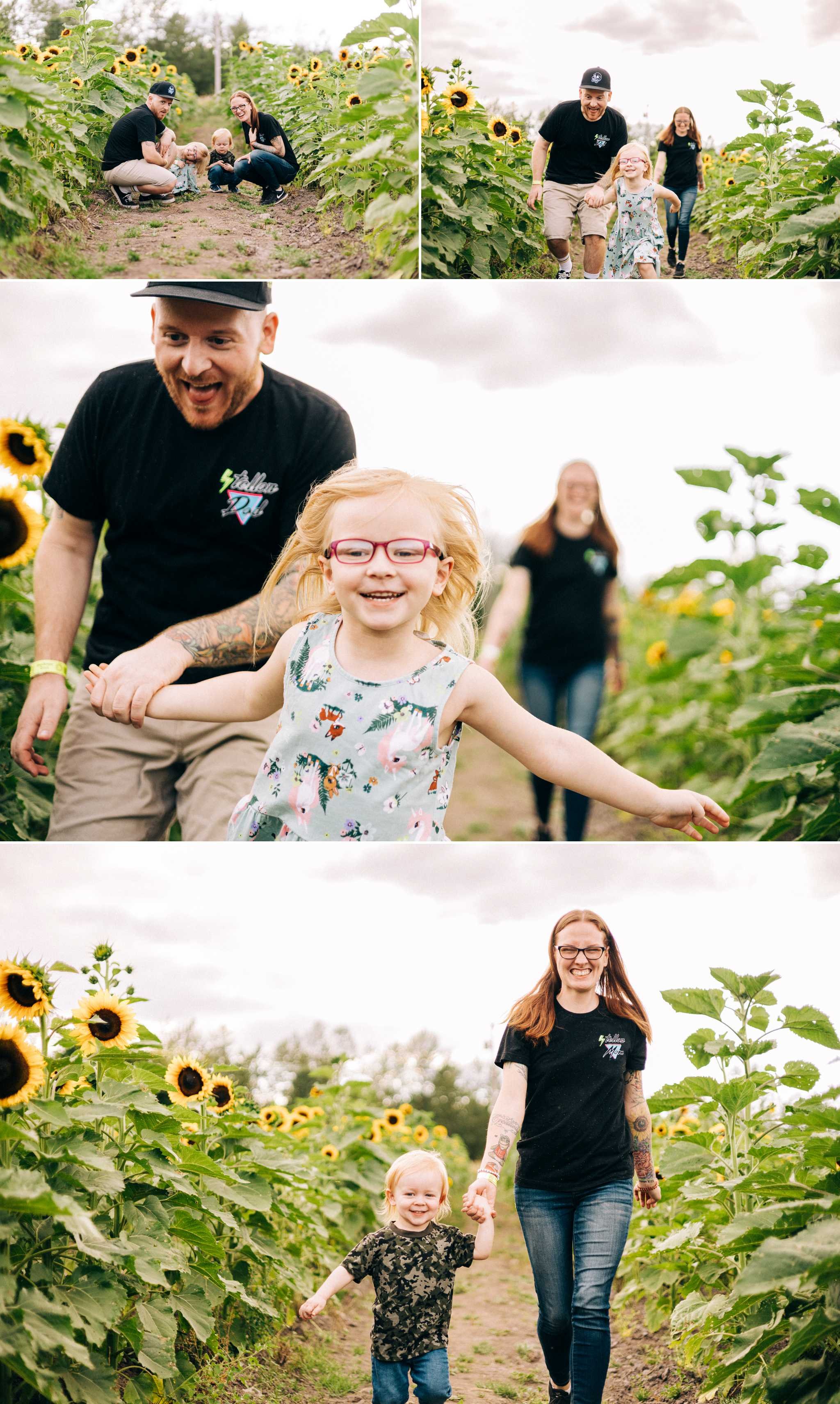 Can I have a family photo shoot at Maris Farms Sunflower Festival ...