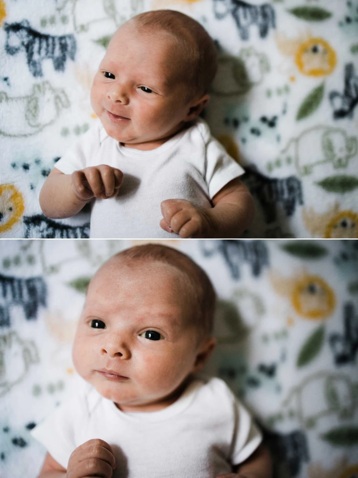 The 3 best rooms to use during a newborn photoshoot at home