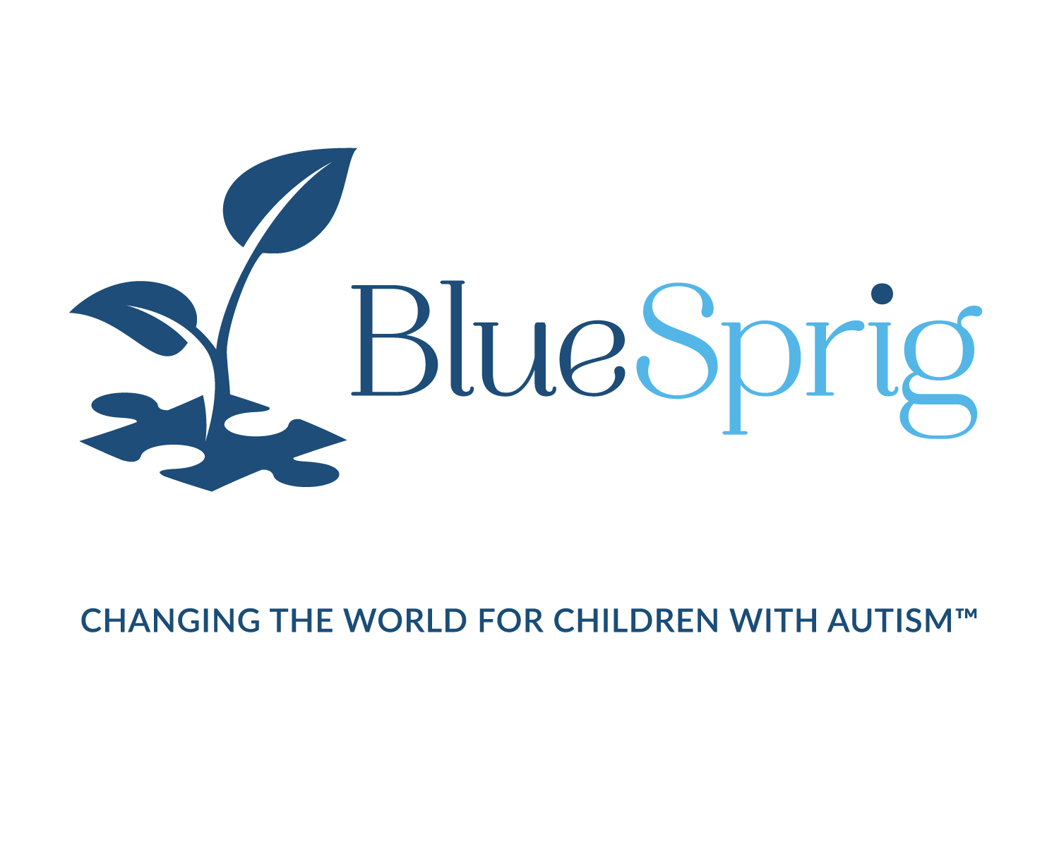 BlueSprig of Greater Seattle — Big Day of Play