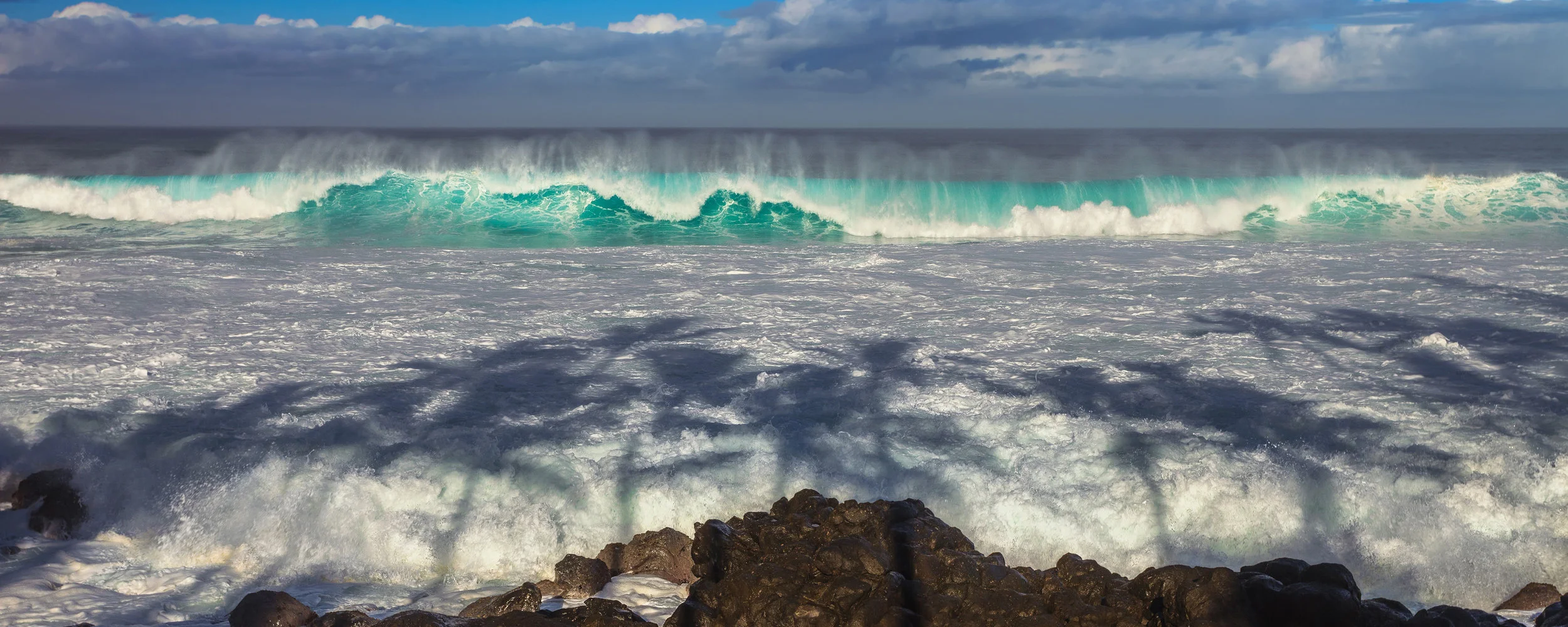 JMFA - Jason Matias Fine Art - Eddie Wave