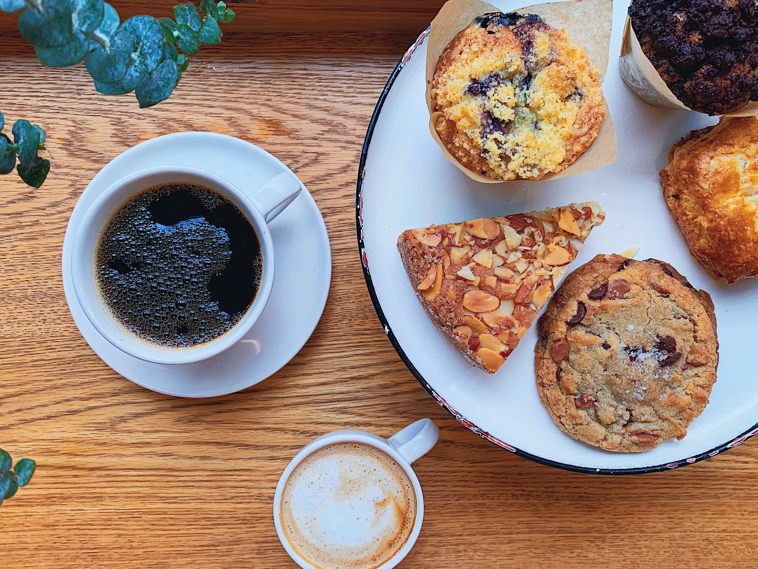 Mottley Kitchen - South Bronx