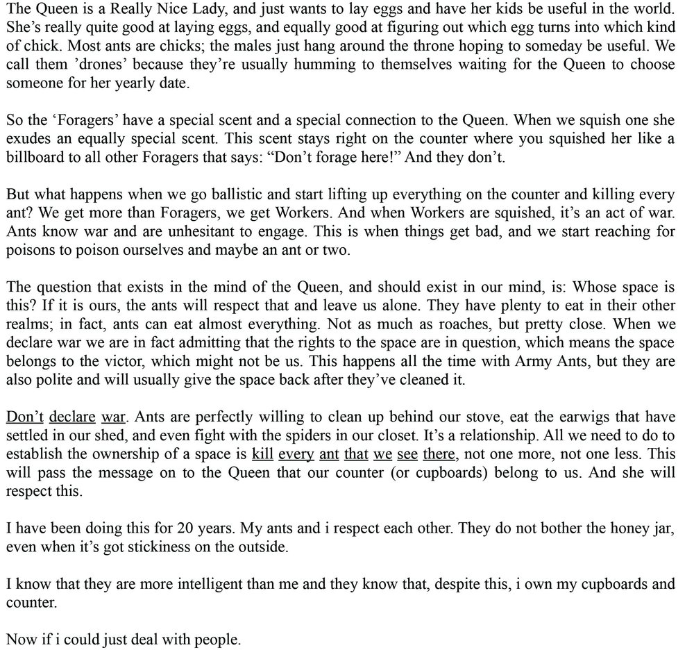 Ants — Mark Vedder