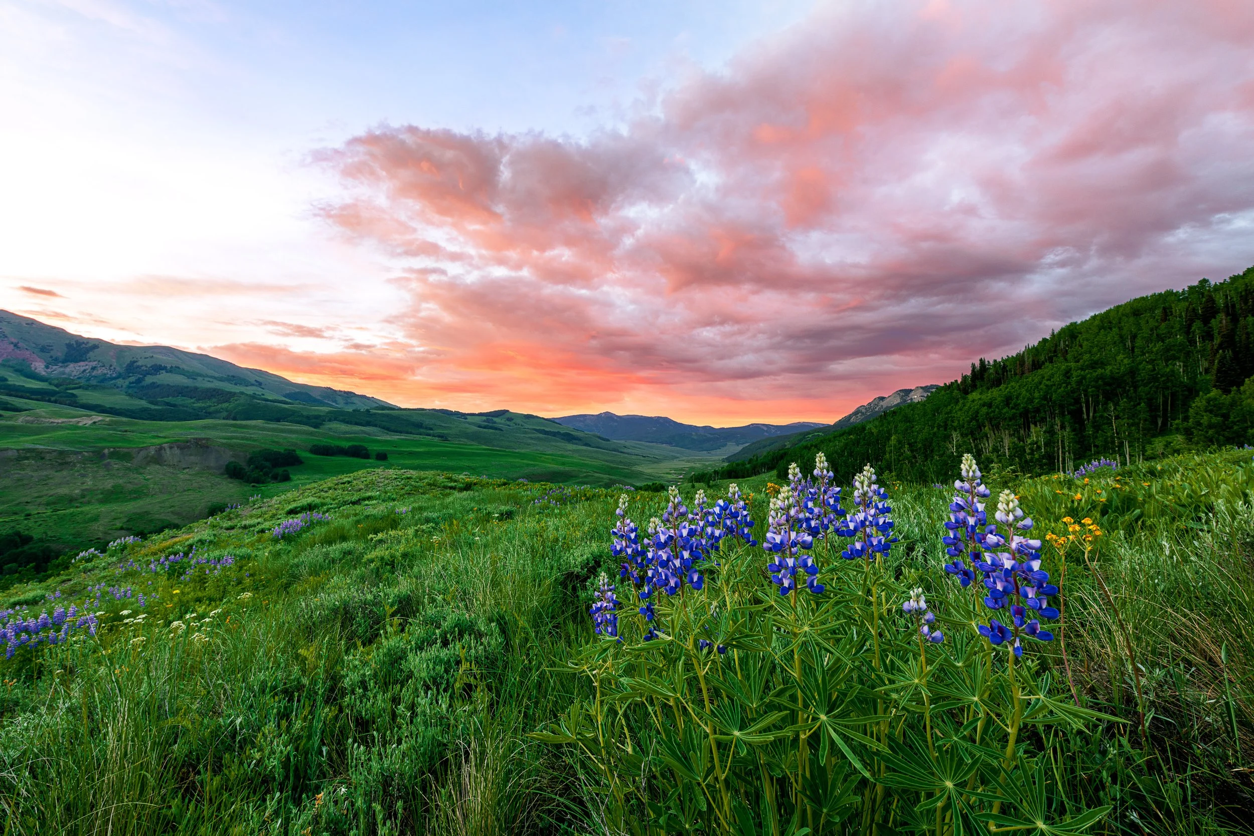 First Friday Art Walks — Denver's Art District on Santa Fe