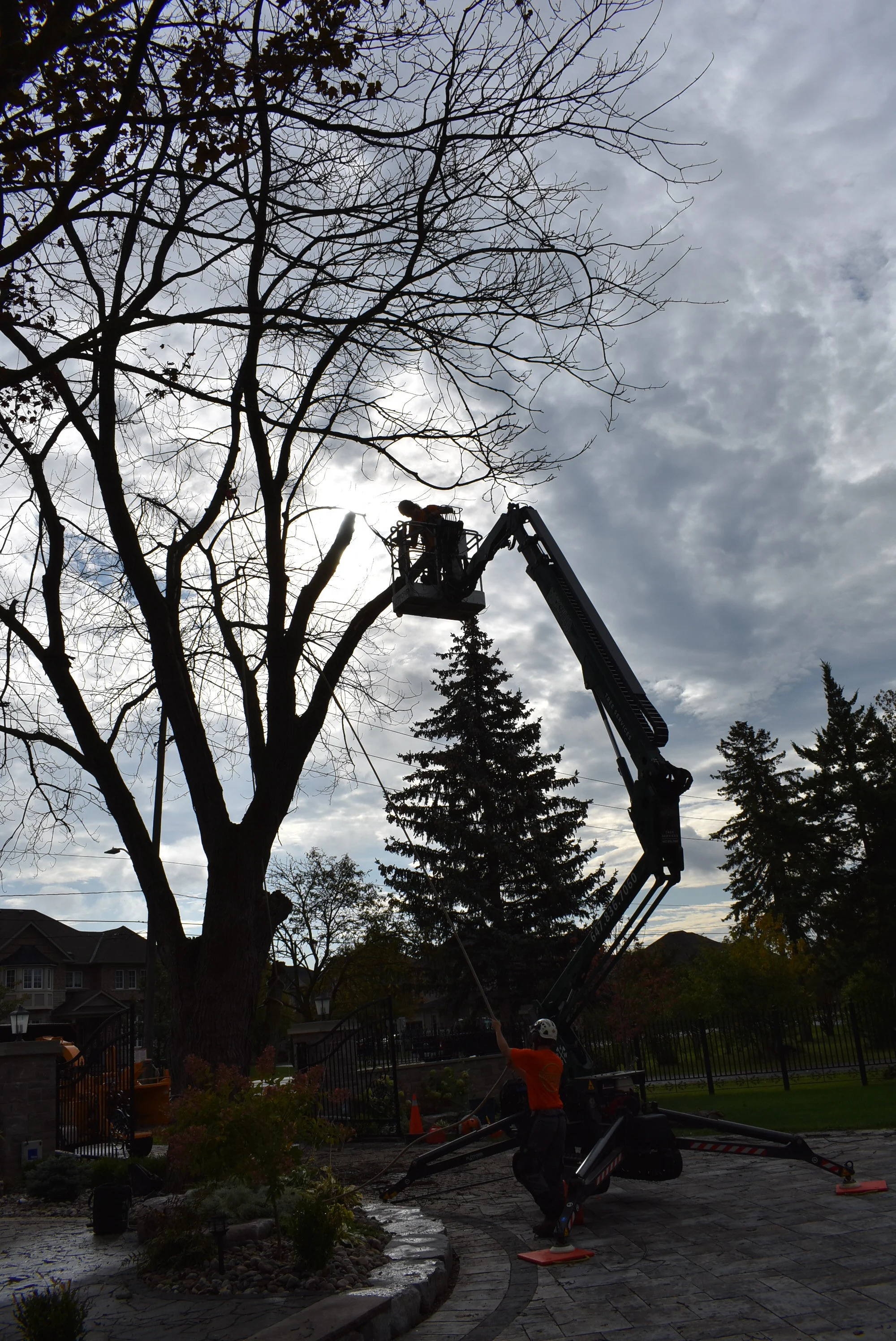 Spider Lift — Rockwood Tree Services