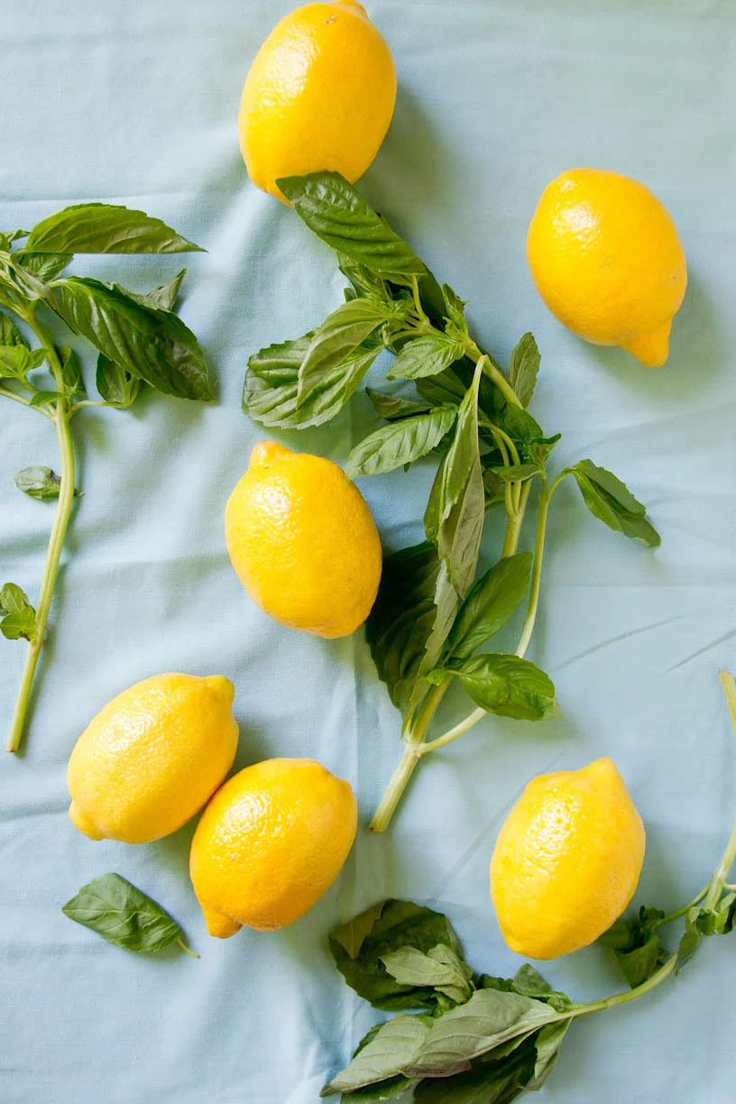 Making Basil Lemonade — Rikki Snyder