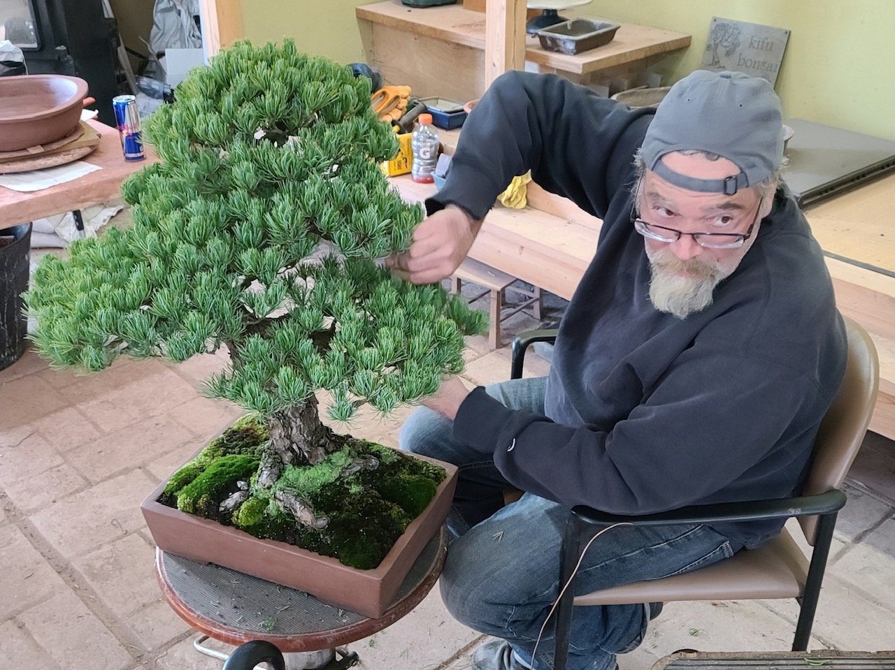 Bonsai Classes, Events & Private Instruction | Kifu Bonsai — Kifu Bonsai
