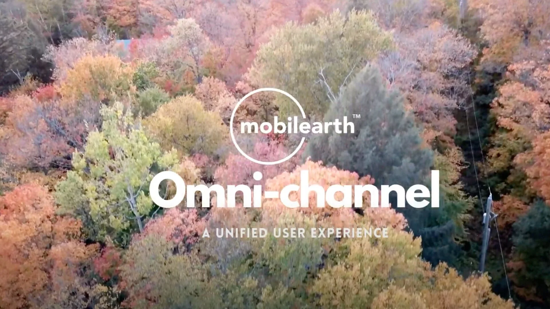 Mobibank — Banking App-ified: Mobile Banking & Mobile Apps for Banking