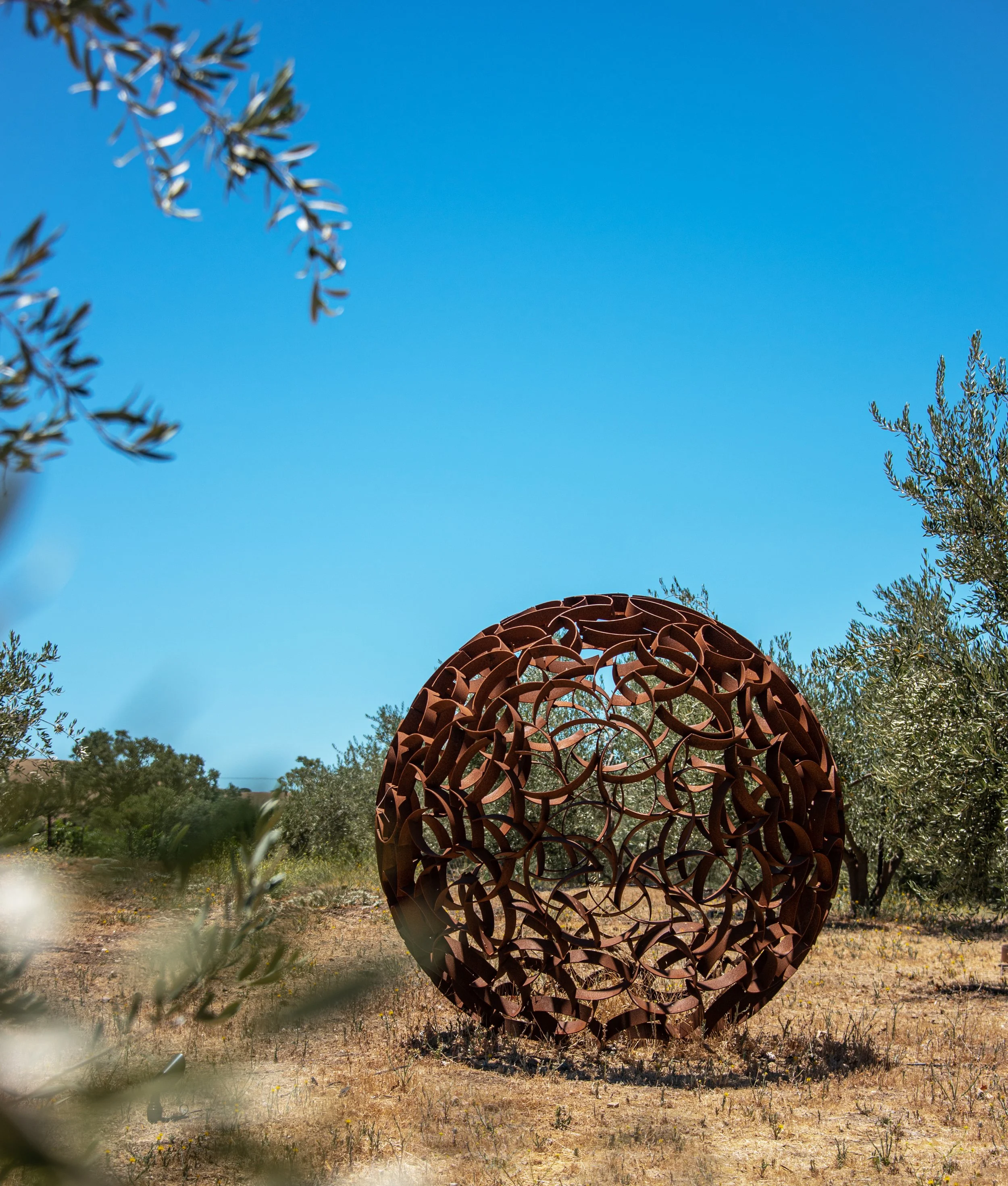 La Olivera Estate - Landscape Design — Contexto Landscape Design and Build