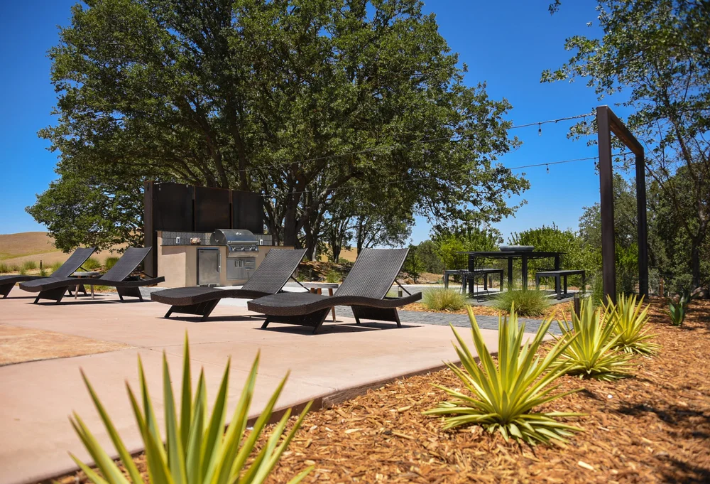 La Olivera Estate - Landscape Design — Contexto Landscape Design + Build