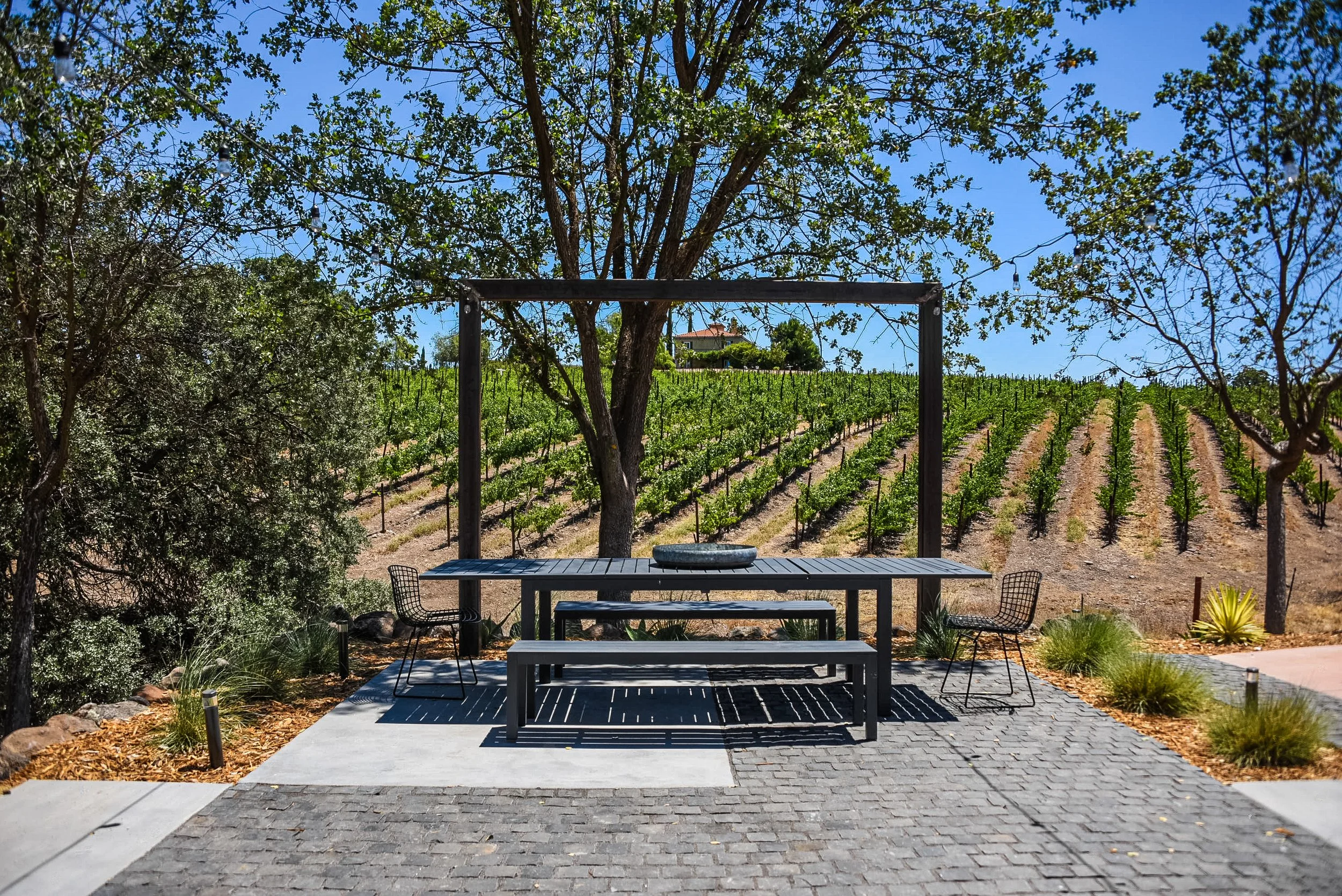 La Olivera Estate - Landscape Design — Contexto Landscape Design and Build