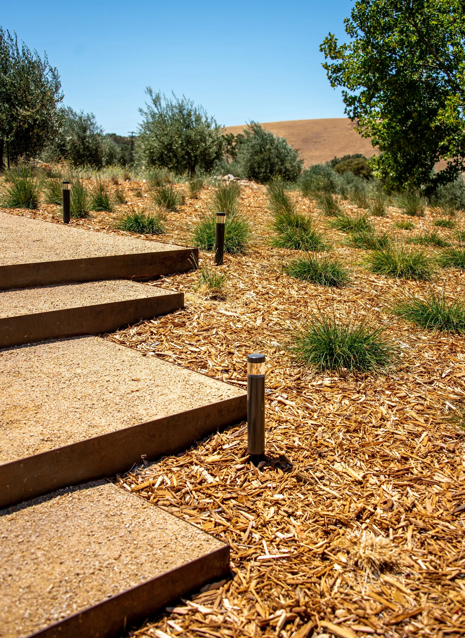 La Olivera Estate - Landscape Design — Contexto Landscape Design + Build