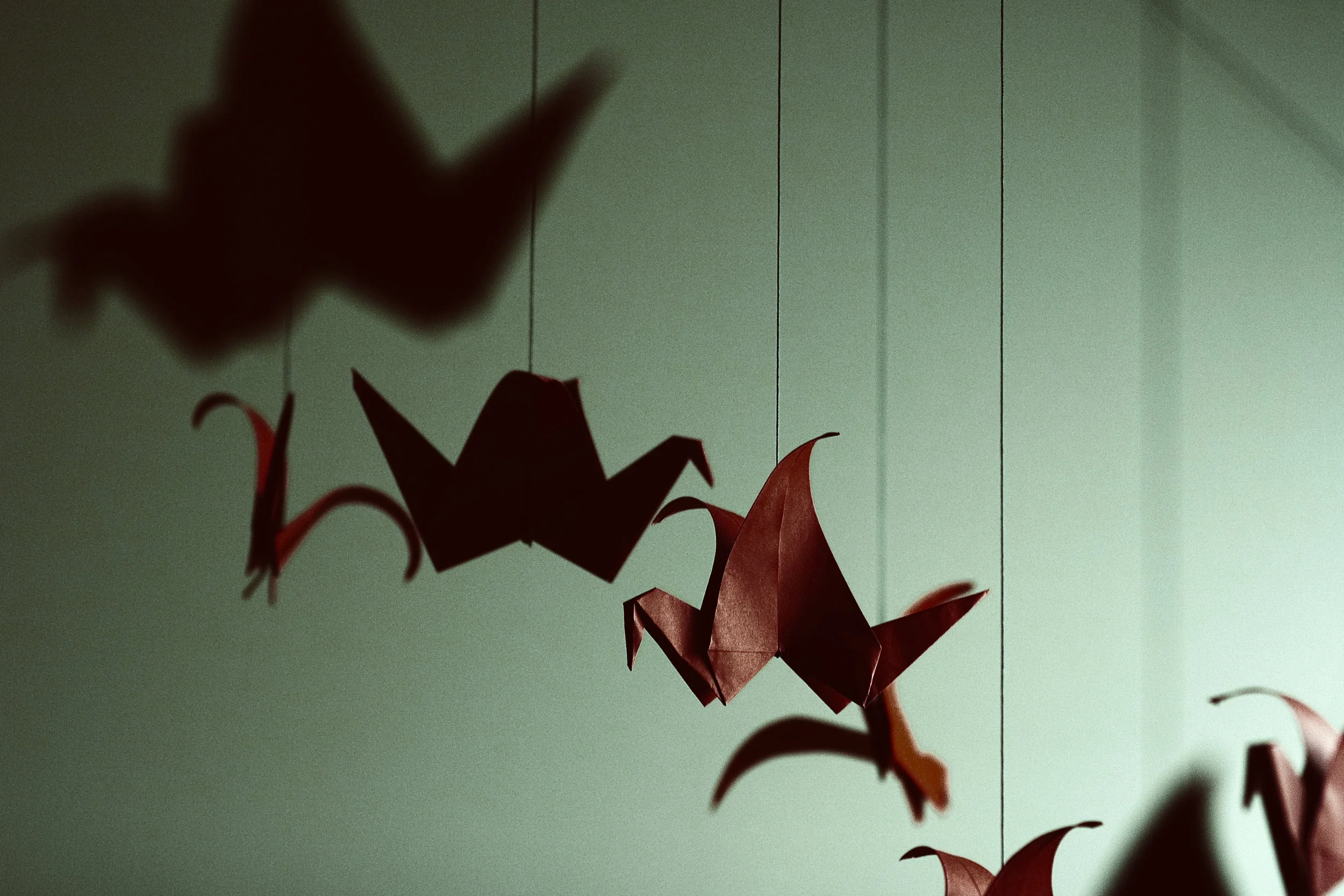 Peter MarleyPeter Marley