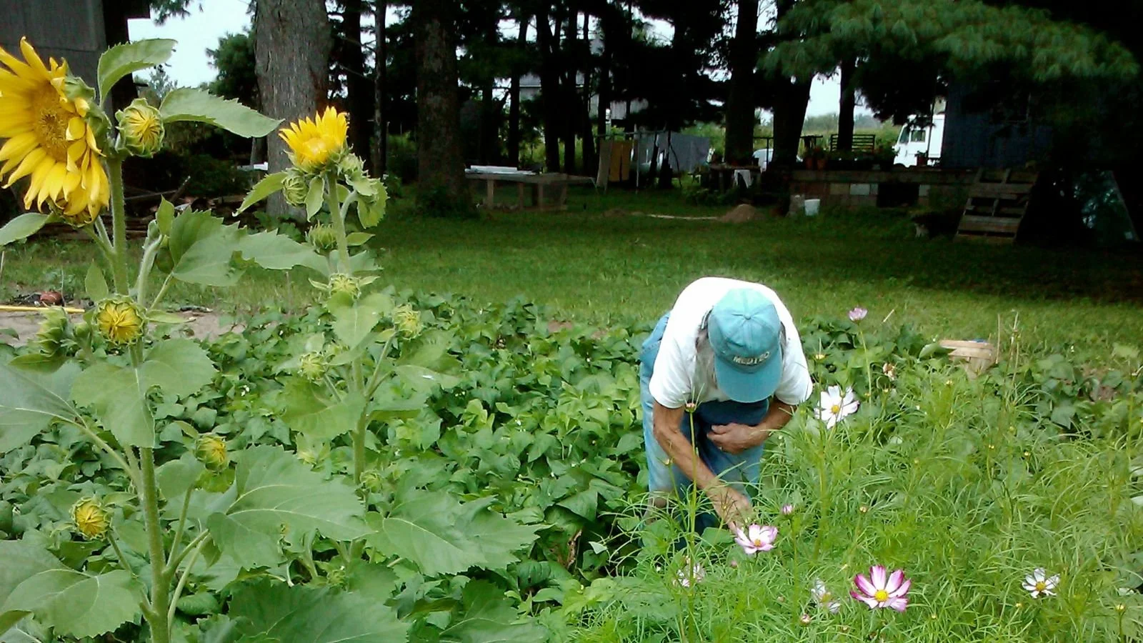 What's New — Acorn Acres Farm (Chesterton, IN)