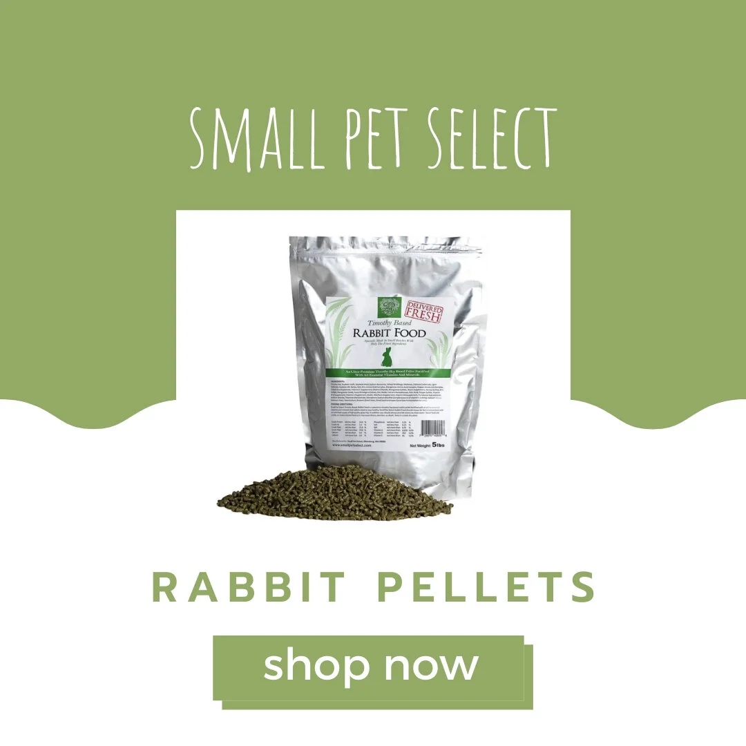 Best Supplies For Pet Rabbits — All Things Rabbits