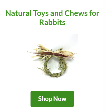 Toys For Pet Rabbits — All Things Rabbits