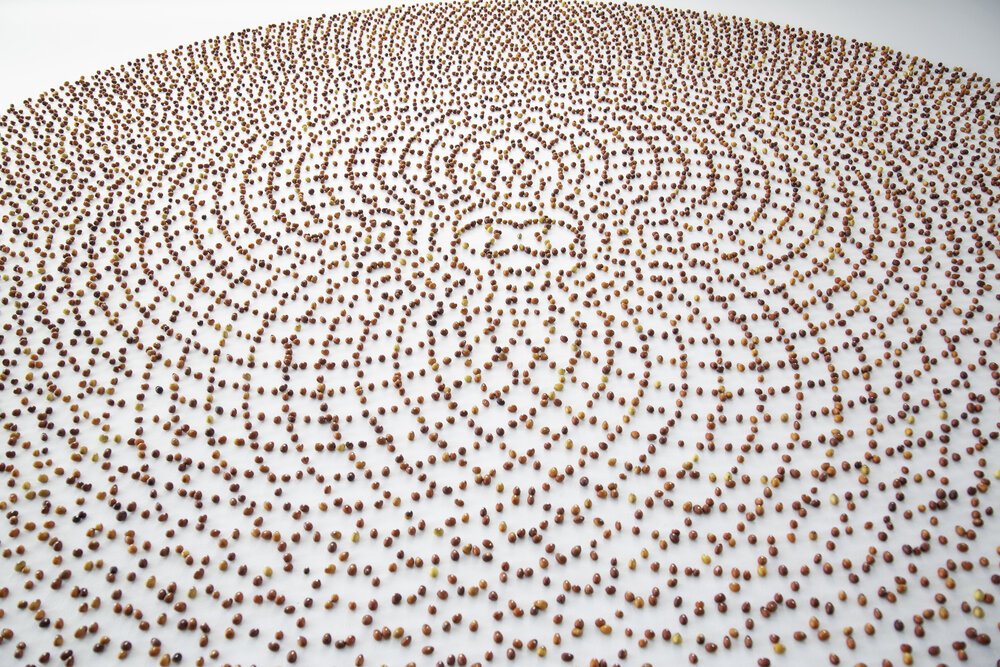 Archive — [TXST]GALLERIES