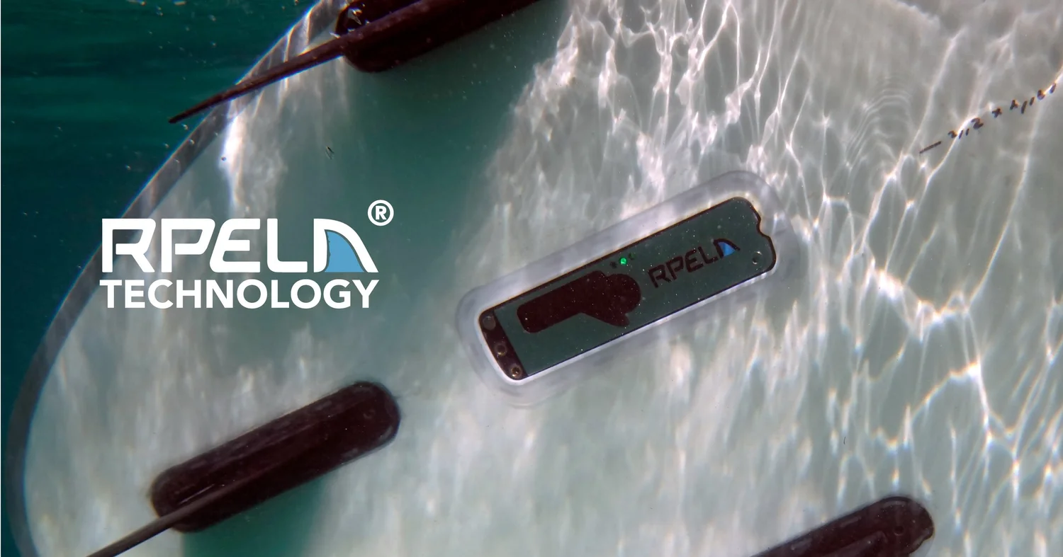 COMPLETE RPELA KIT — Rpela Electrical Shark Deterrents For Surfing Blog ...
